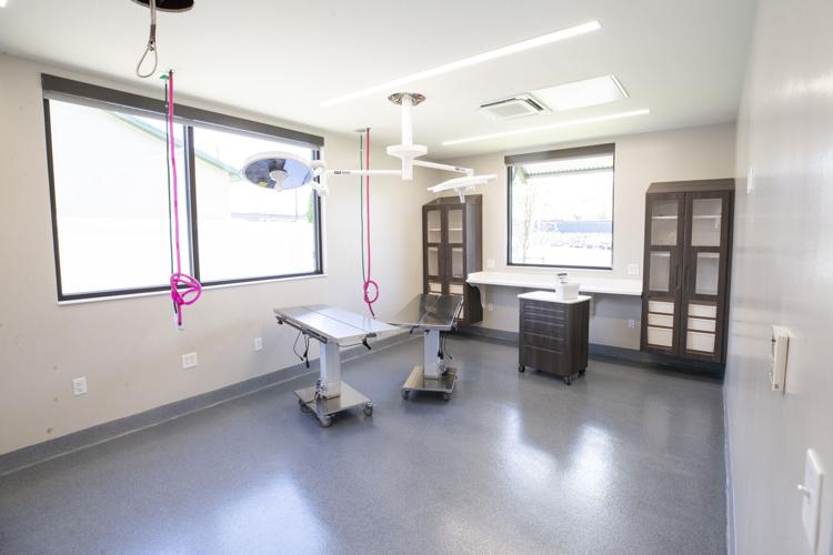 PHOTOS: Cascade Veterinary's new East Wenatchee facility ...