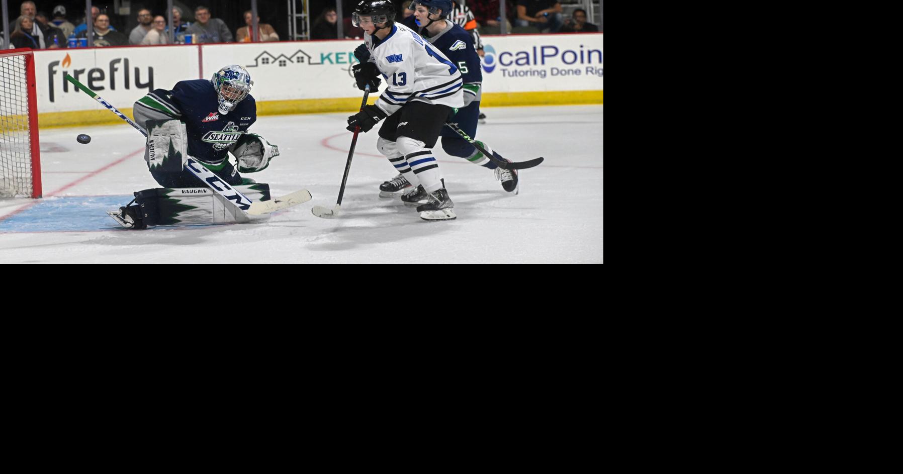 Wild, Thunderbirds exchange forwards Lovsin, Hanas | Sports ...