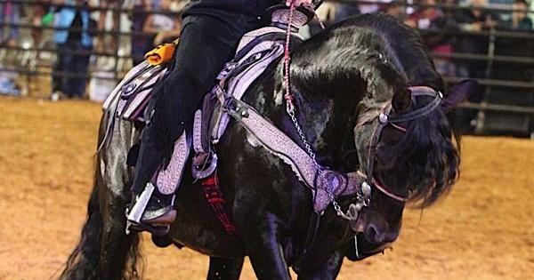 Mexican superstar to lead song-filled rodeo spectacle at TTC WHS ...
