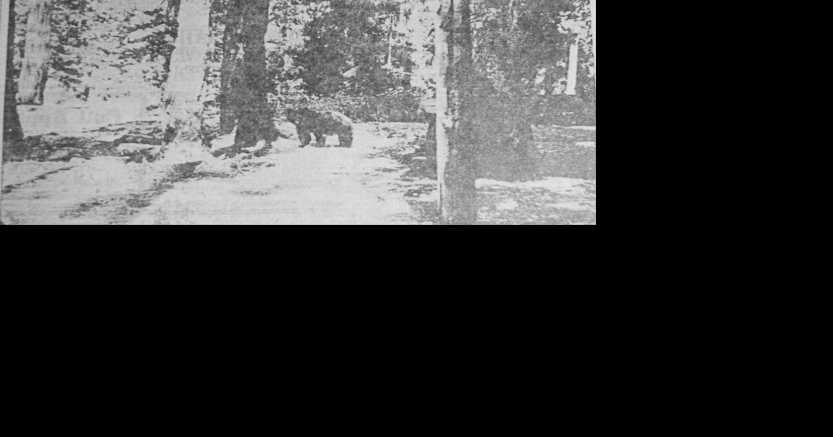 Old News | Ike W Woods, of Tacoma, father of W.W. Woods and uncle of ...