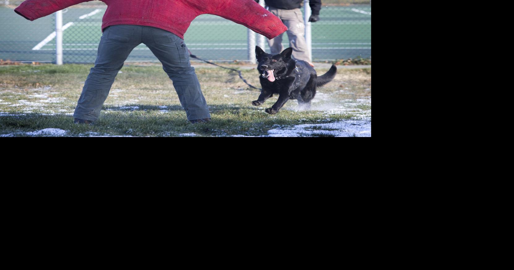 Axel trains | Local News | wenatcheeworld.com