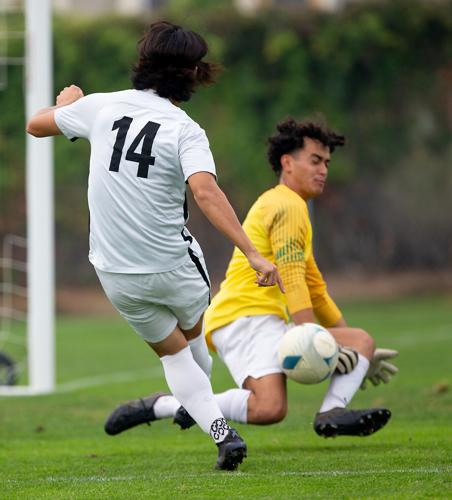 Photo gallery: WVC men defeated by Blue Mountain in soccer | College ...
