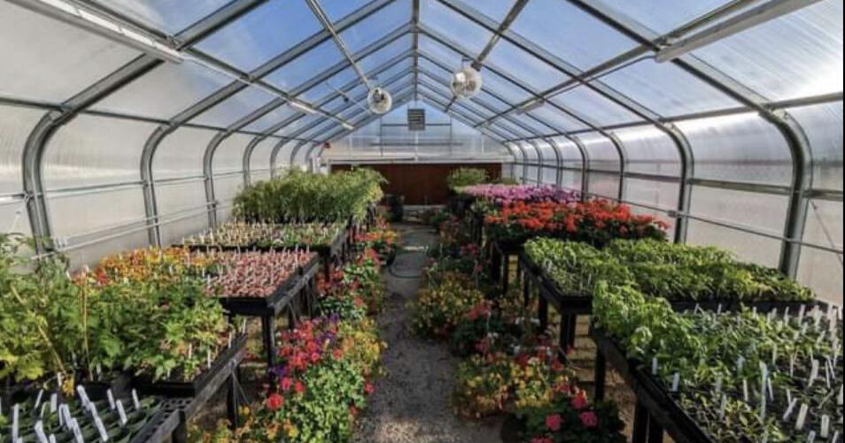 Waterville Community Plant Sale returns with perennials, hanging ...