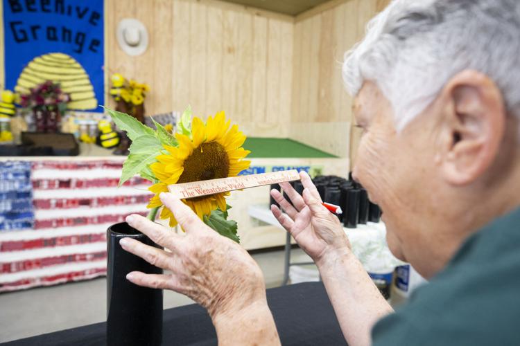 PHOTO GALLERY: Chelan County Fair opens Thursday | News ...