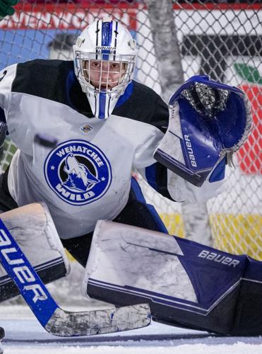 Murray matches Tuesday's mark with four more goals in Wild win | Sports ...