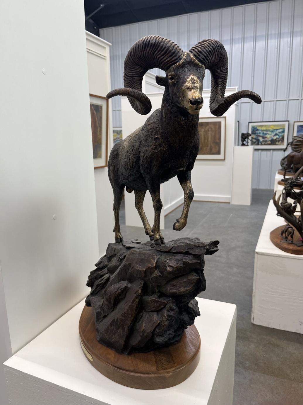 Nature’s Window: Museum of Wildlife, Natural History and Art displays ...