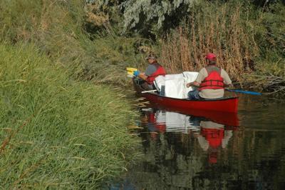 Chelan County PUD to start mosquito control at Horan Natural Area ...