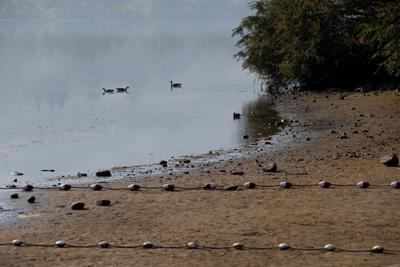 Photo: Low water on the Columbia River | Local News | wenatcheeworld.com