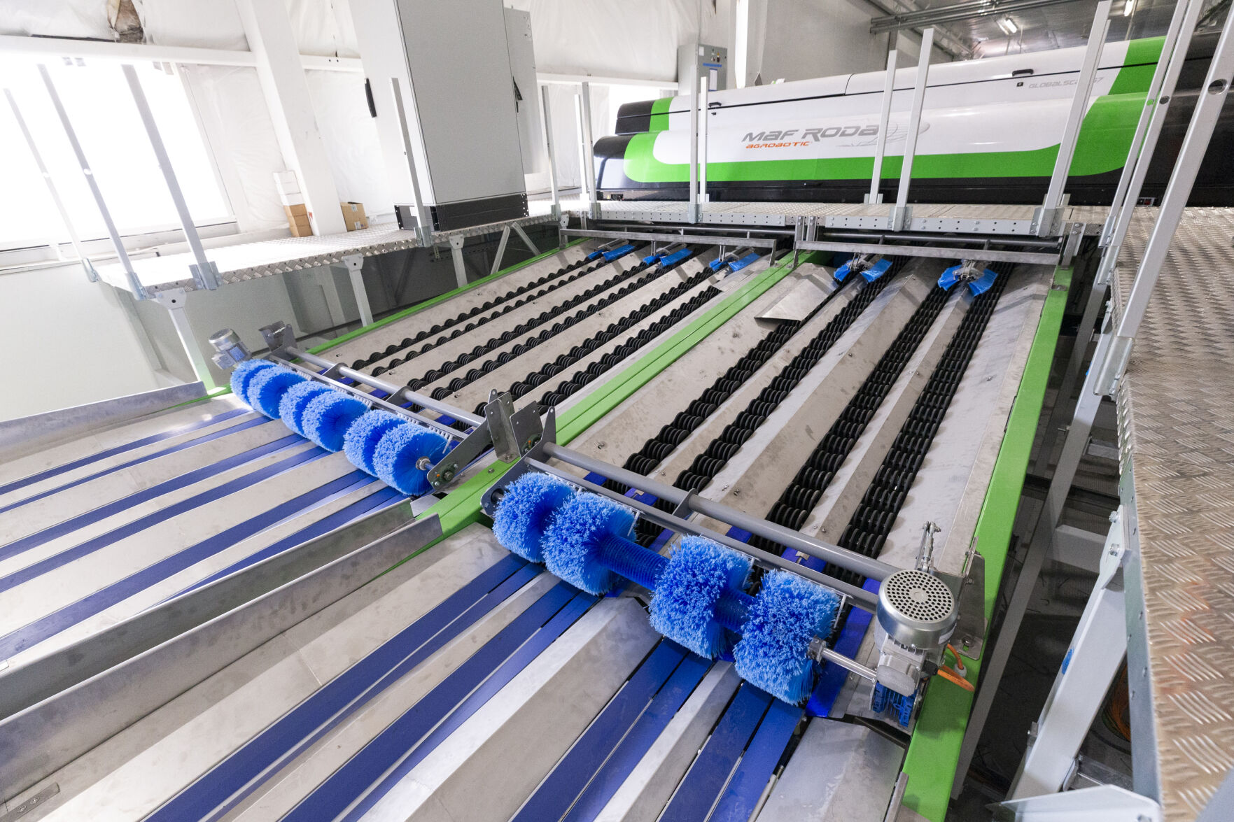 Blue Bird, Peshastin Pear Packers launch joint packing line to boost ...