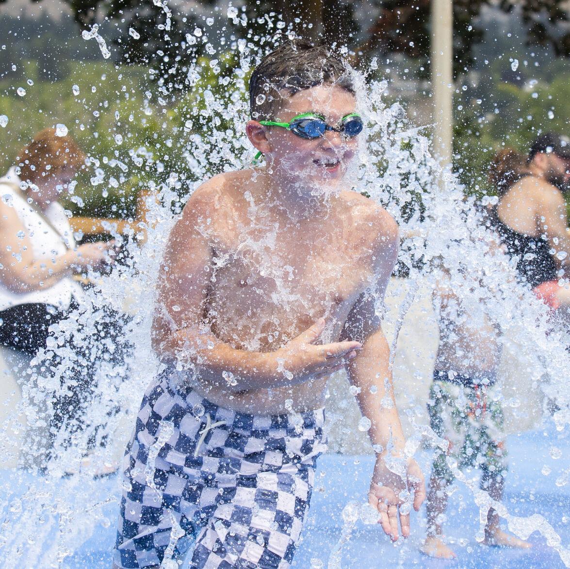 Wenatchee Valley Humane Society to host community spay and neuter ...