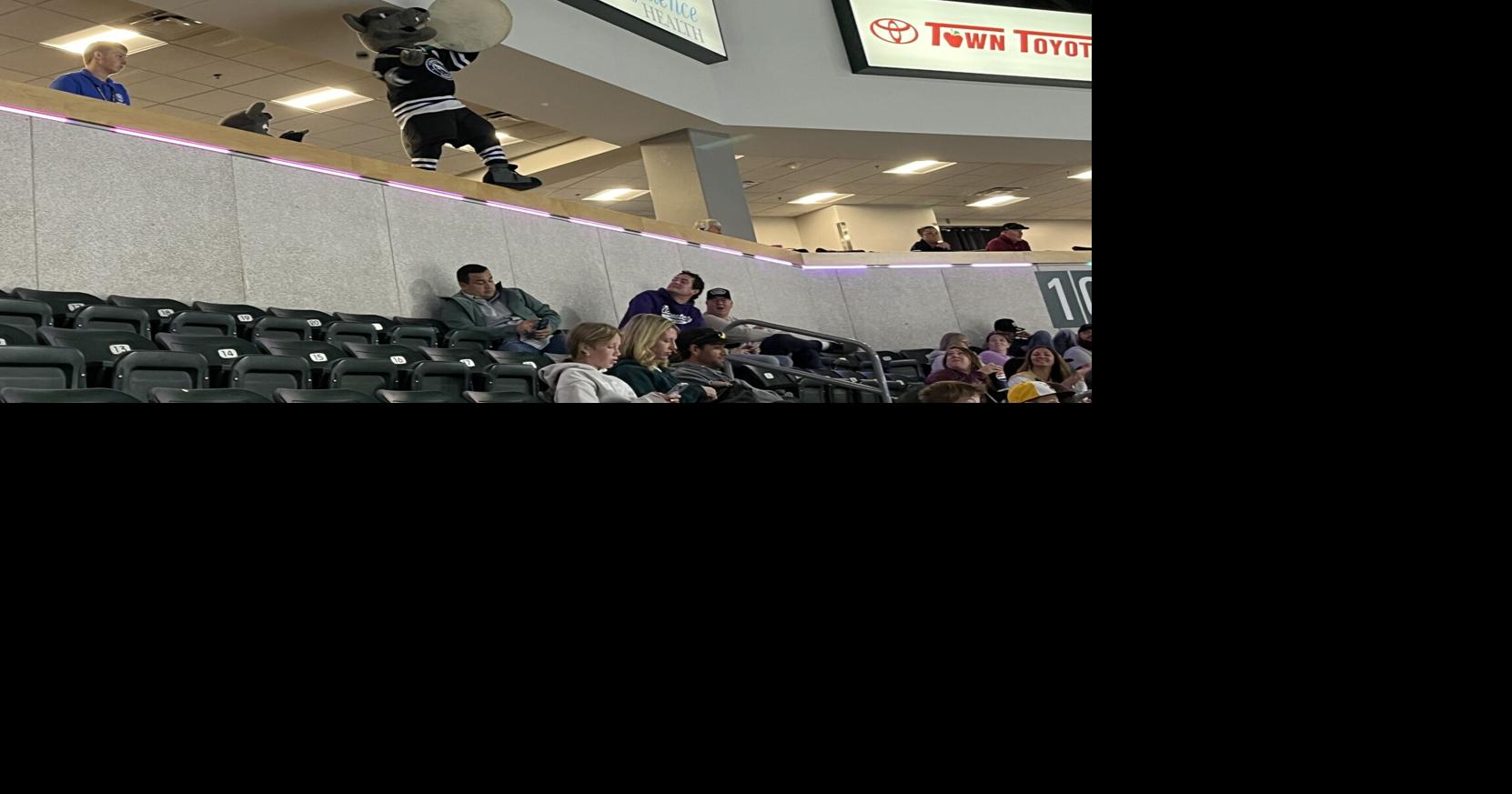 Cowbells, chaos, cosmic bandits: A 1st-timer’s hockey fever dream | GO ...