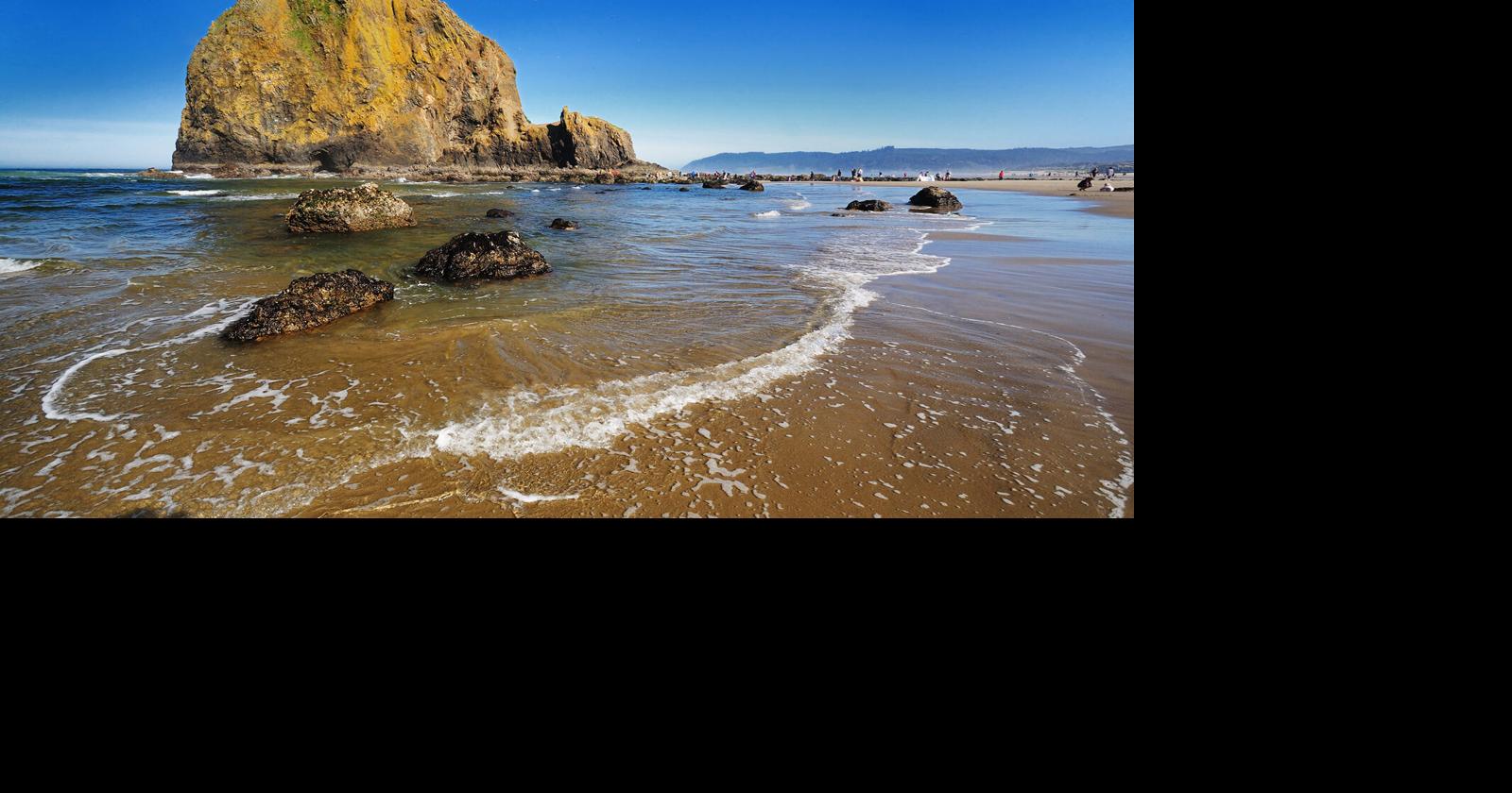 A famous rock on the Oregon coast had a surprise visitor this weekend ...