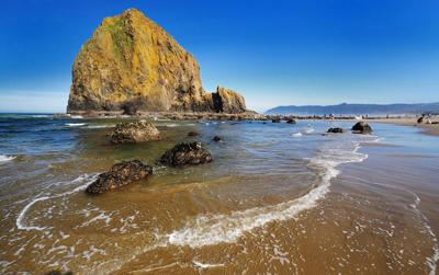A famous rock on the Oregon coast had a surprise visitor this weekend ...