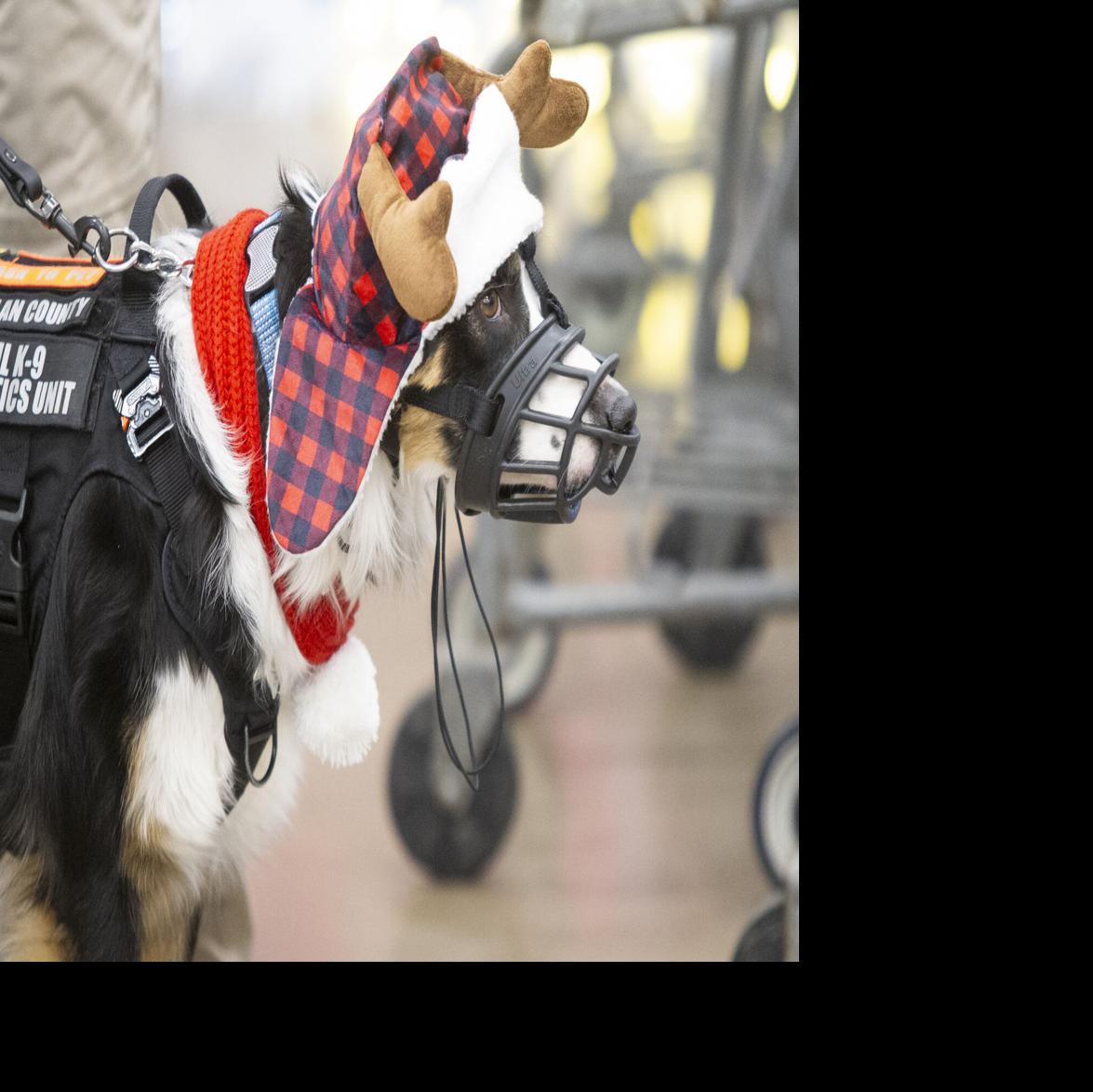 WPD, CCSO review triple-homicide timeline in joint press conference ...