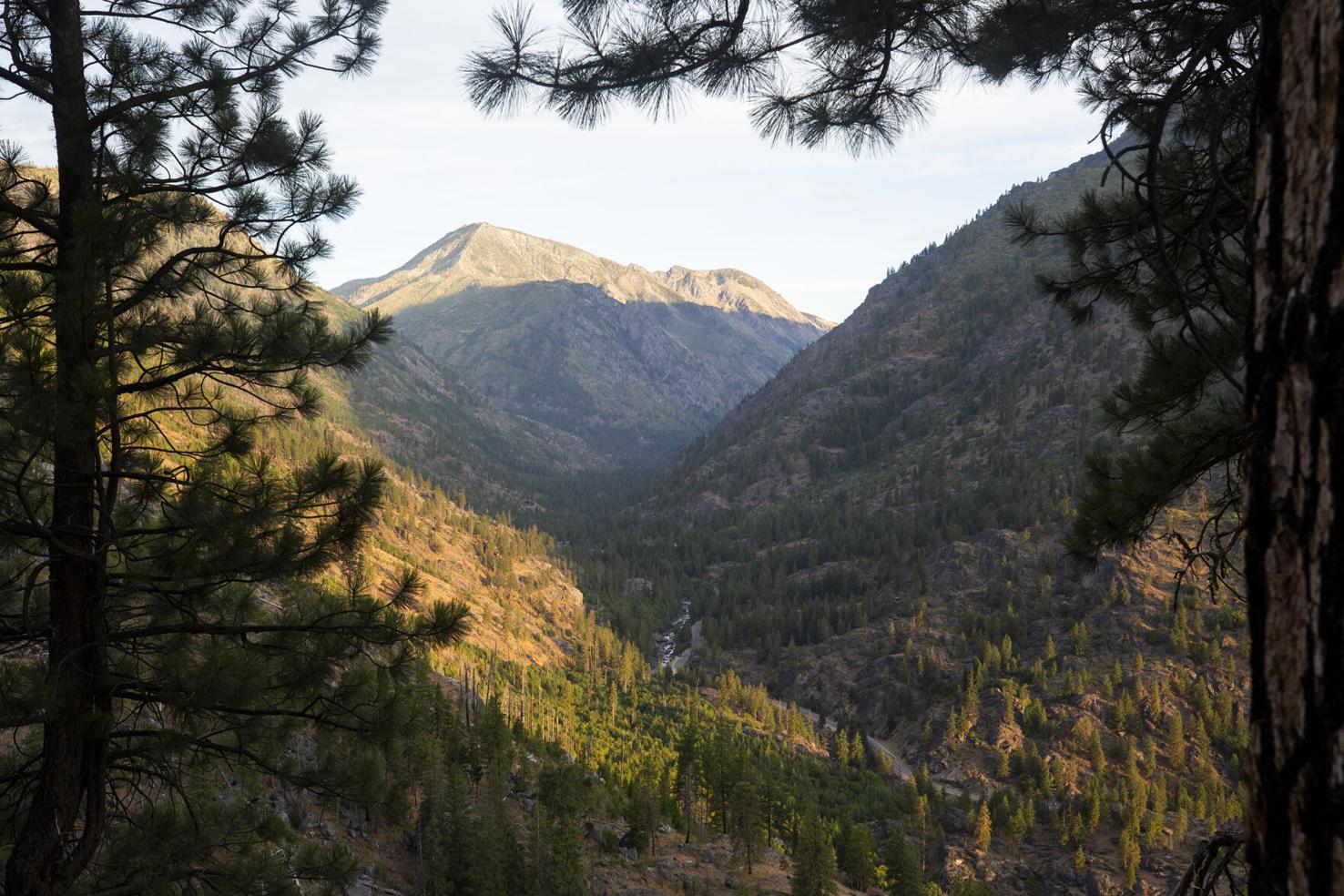 OPINION | Why roadless areas matter for Wilderness preservation ...