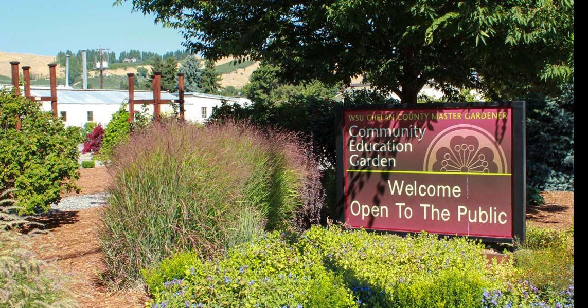 WSU Master Gardener program opens application process | News ...