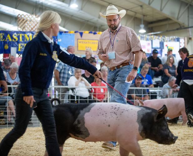Veggies, livestock and rides, oh my! | The 71st Chelan County Fair ...