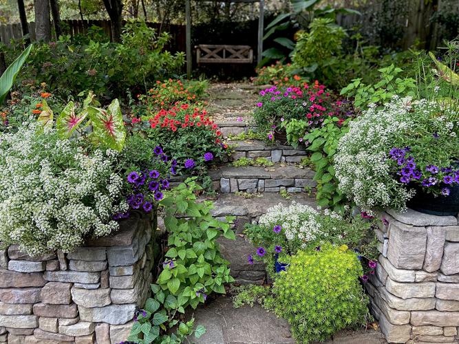 On Gardening: Knights and Princesses offer everything for the garden ...