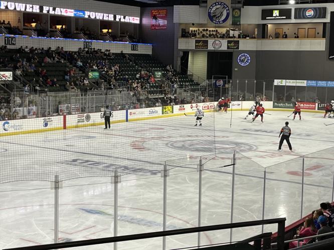 Cowbells, chaos, cosmic bandits: A 1st-timer’s hockey fever dream | GO ...