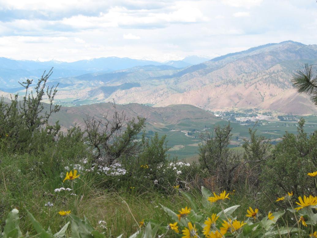 Local News | wenatcheeworld.com