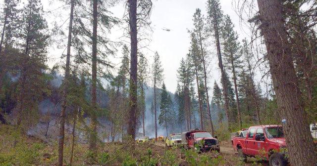 Early morning wildfire near Coles Corner almost corralled | Local News ...