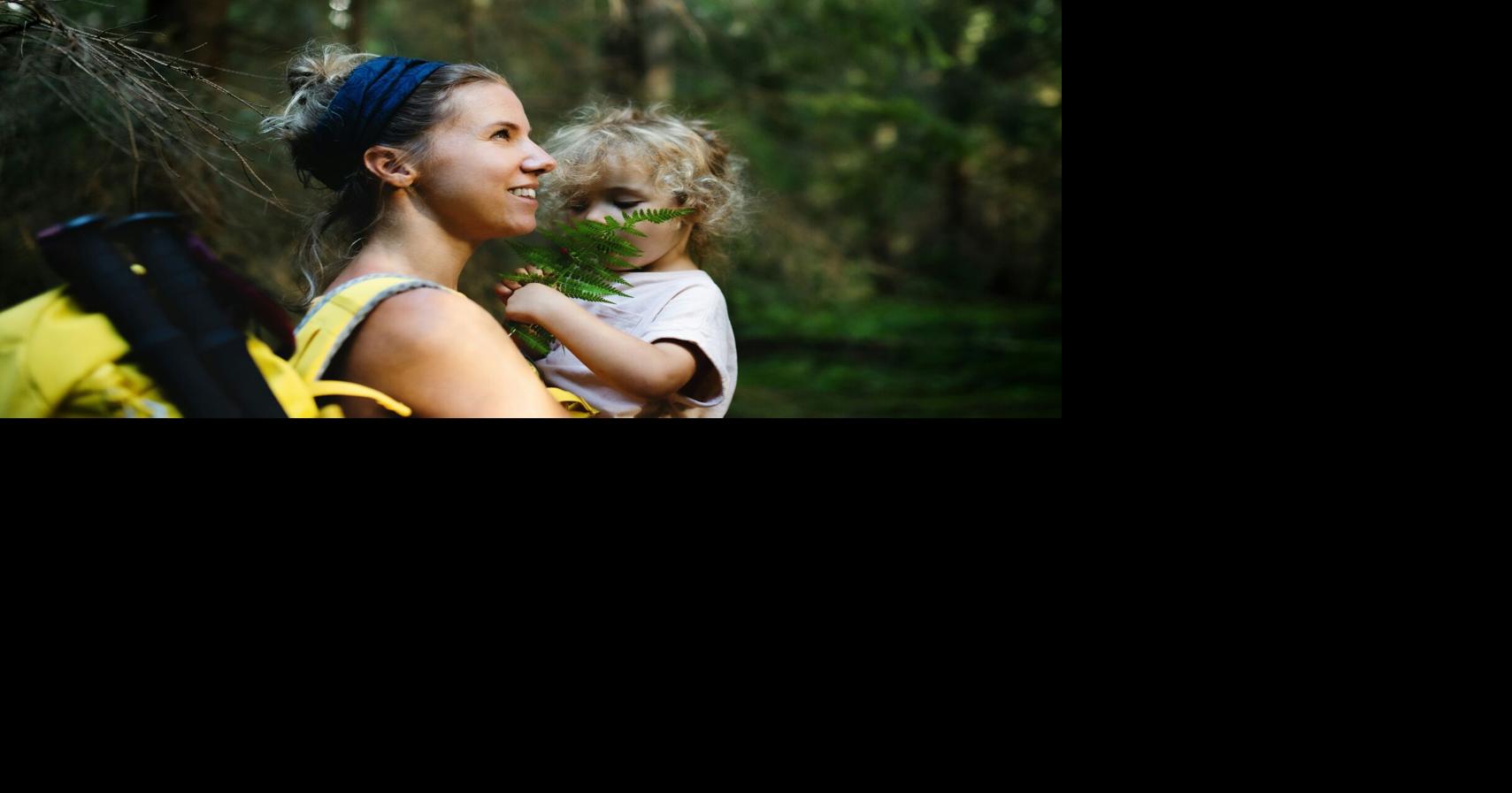 What is forest bathing? How to get started and where to go in Seattle ...