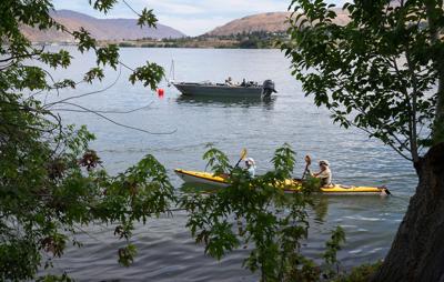 Columbia River spring chinook run below average so far but peak still ...