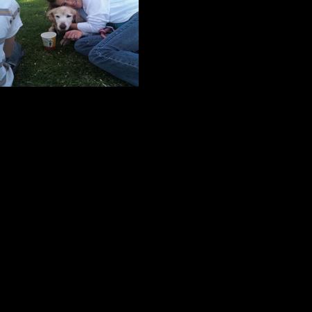 Statement from Wendy Cowell | Local News | wenatcheeworld.com