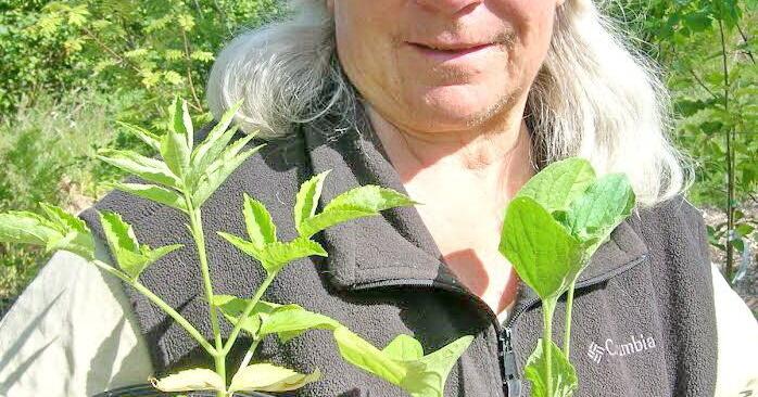 Patricia Anne Rasmussen | In Memoriam | wenatcheeworld.com