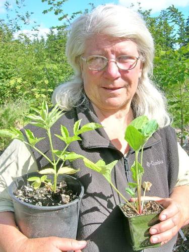 Patricia Anne Rasmussen | In Memoriam | wenatcheeworld.com