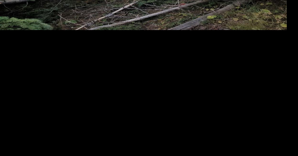 Two survive Mission Ridge plane crash | Local News | wenatcheeworld.com