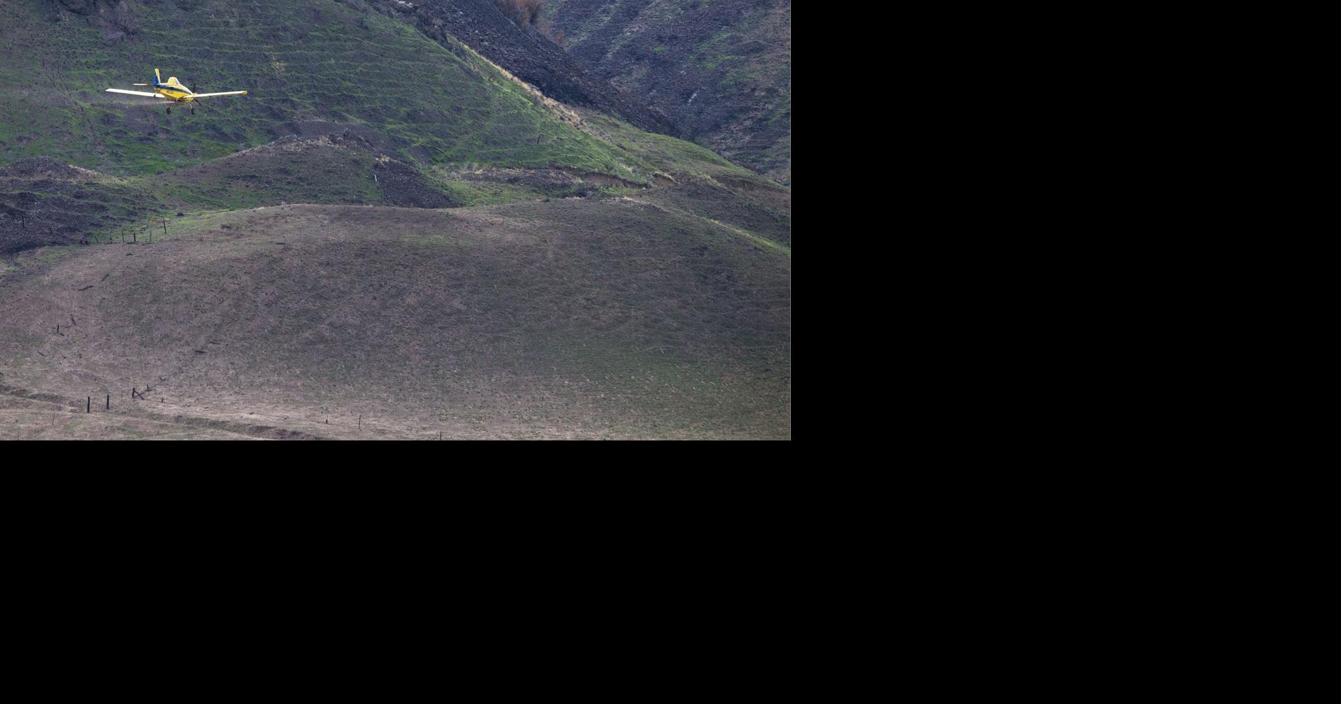 Aerial seeding to reduce Colockum washouts | Local News ...