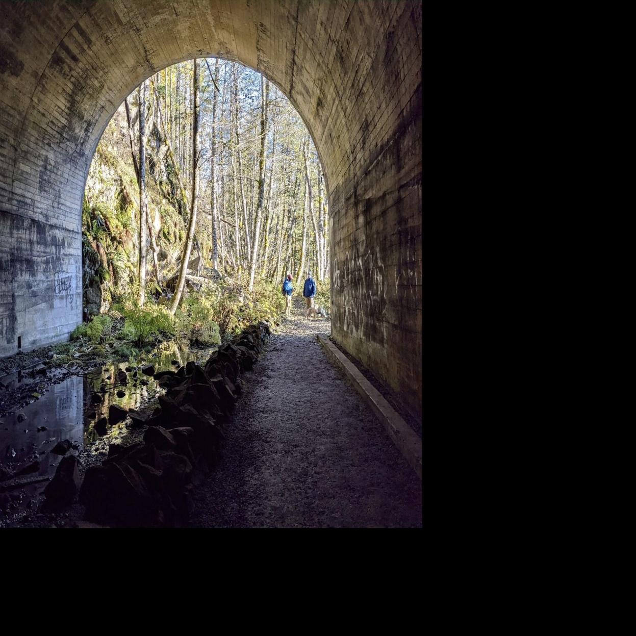 Landmark | Chief Moses: The leader of the Columbia-Sinkiuse people ...