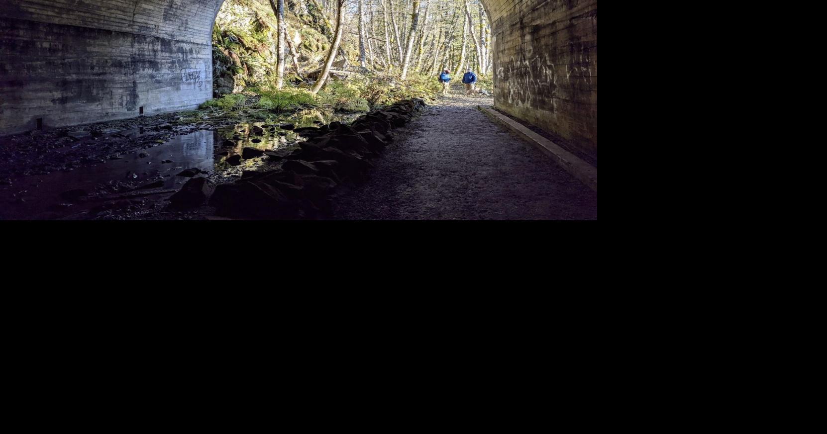Iconic Iron Goat Trail: Tracing history along abandoned railroad tracks ...