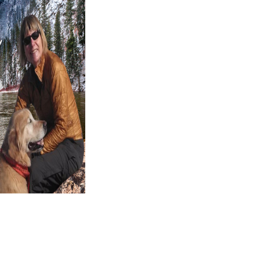 Here are the Constitutional laws Trump is violating | Opinion ...