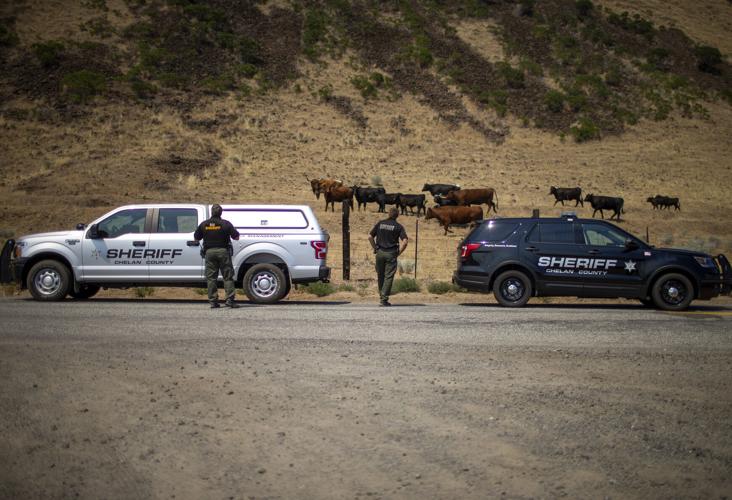 Photo gallery: Colockum Fire burns south of Wenatchee | Local News ...