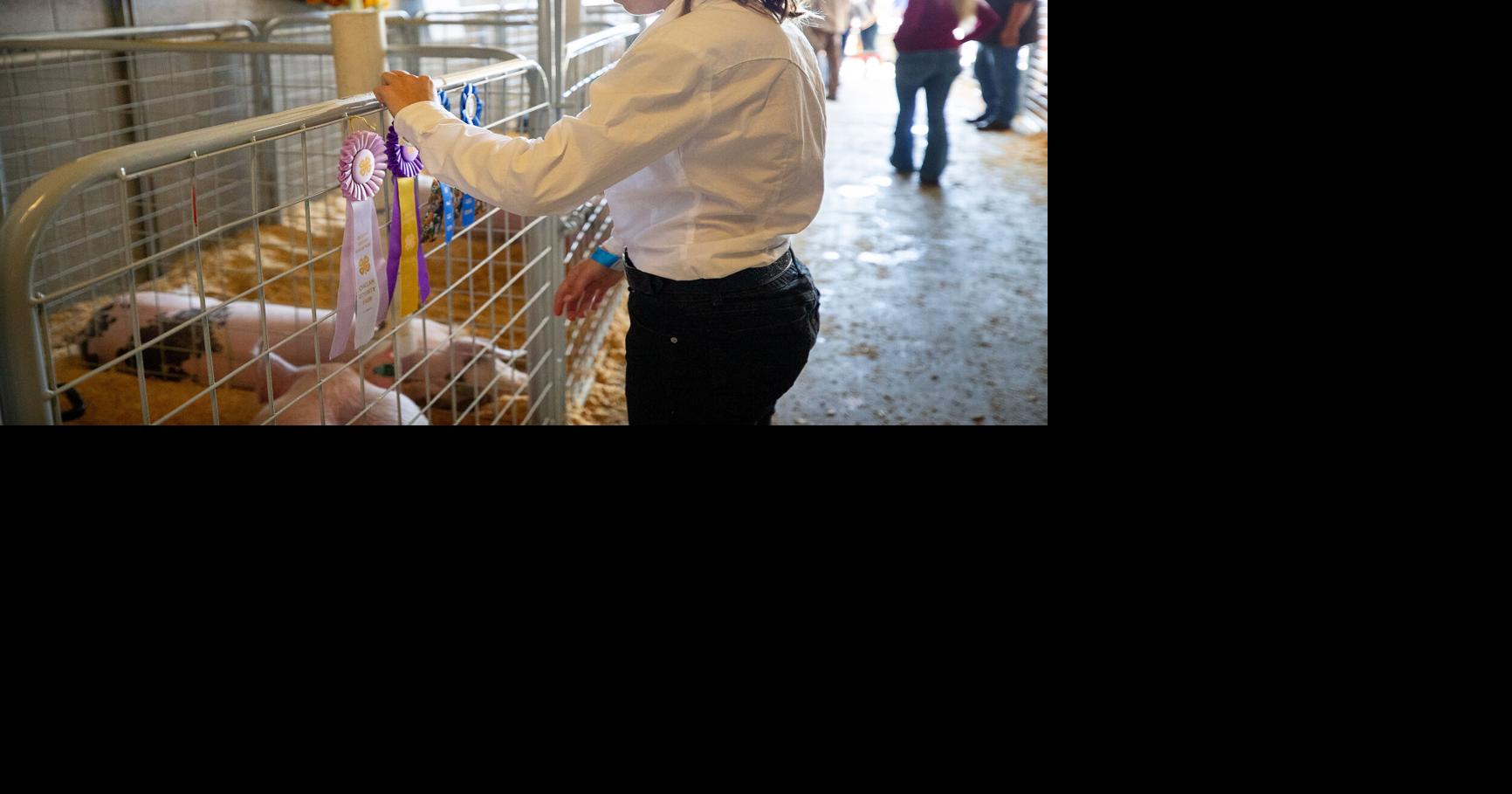 Photos: Chelan County Fair opens in Cashmere | Local News ...
