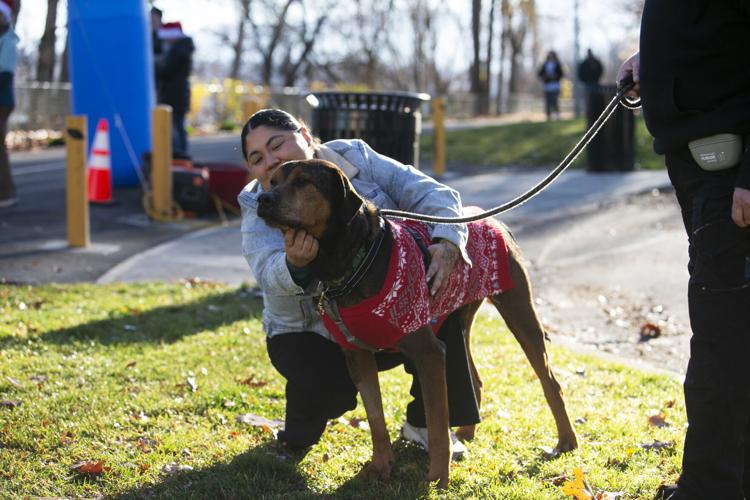 PHOTO GALLERY: Santa Paws Fun Run | | wenatcheeworld.com