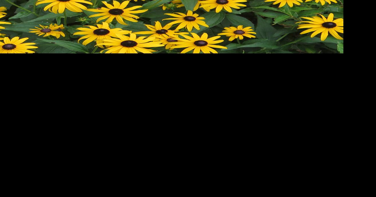 It’s time to plan your easy-care landscape | News | wenatcheeworld.com
