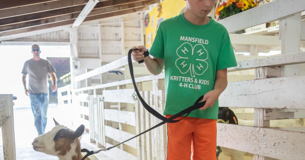 NCW Fair to return with country music star Clint Black, Taylor Swift ...