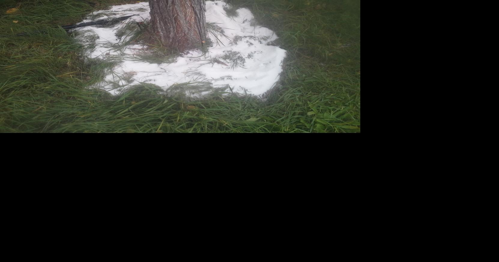 Developer faces June trial in tree-salting case | Local News ...