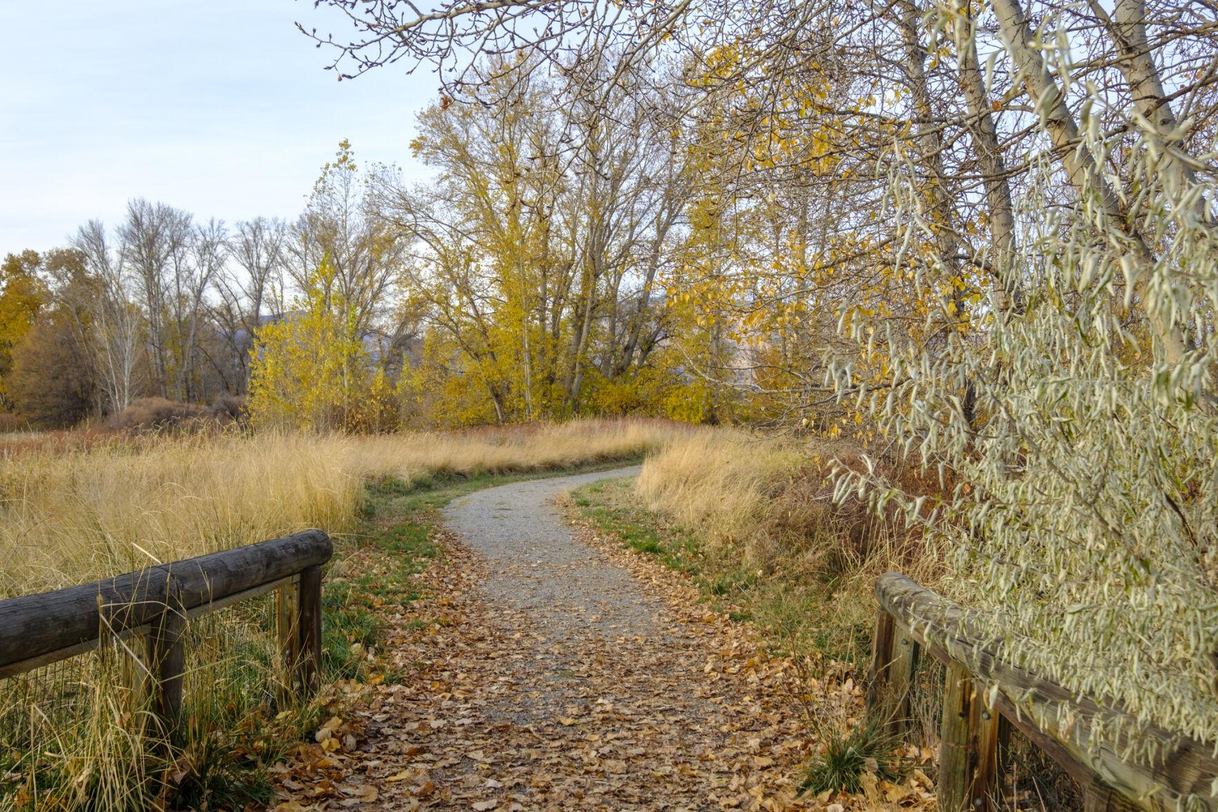 Safety Valve: Letters from readers | wenatcheeworld.com