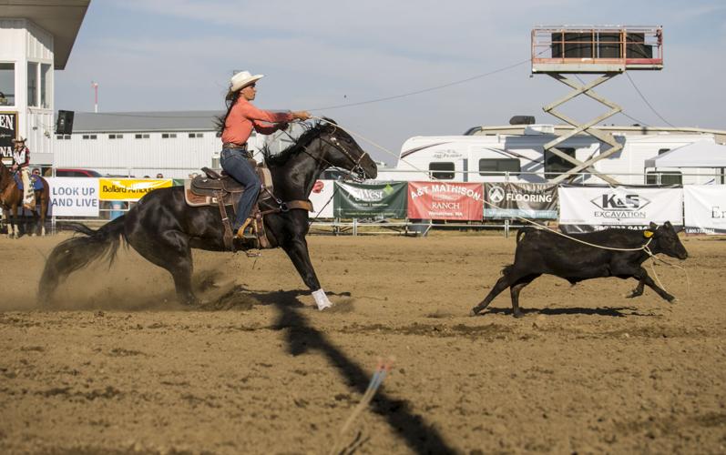 PHOTO GALLERY: NCW Fair, Day 2 & 3 | | wenatcheeworld.com