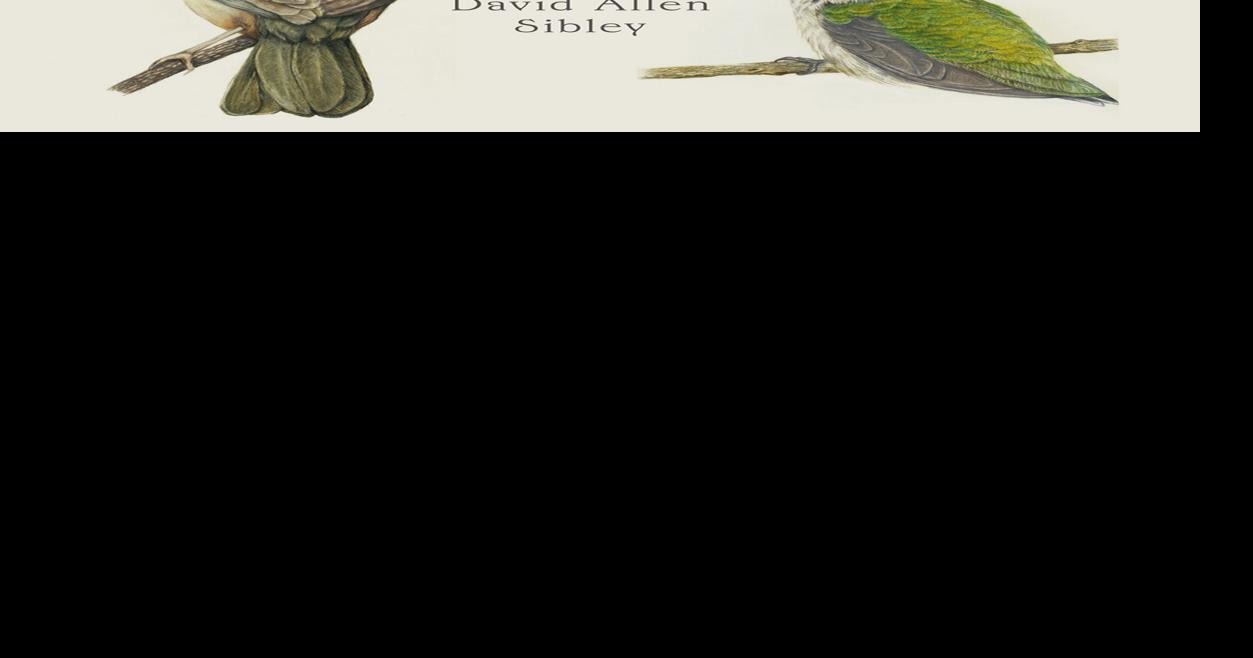 Review: Amy Tan takes wing in ‘Backyard Bird Chronicles’ | GO ...