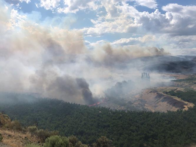 Live updates | Baird Springs Fire 'under control,' evacuation levels ...