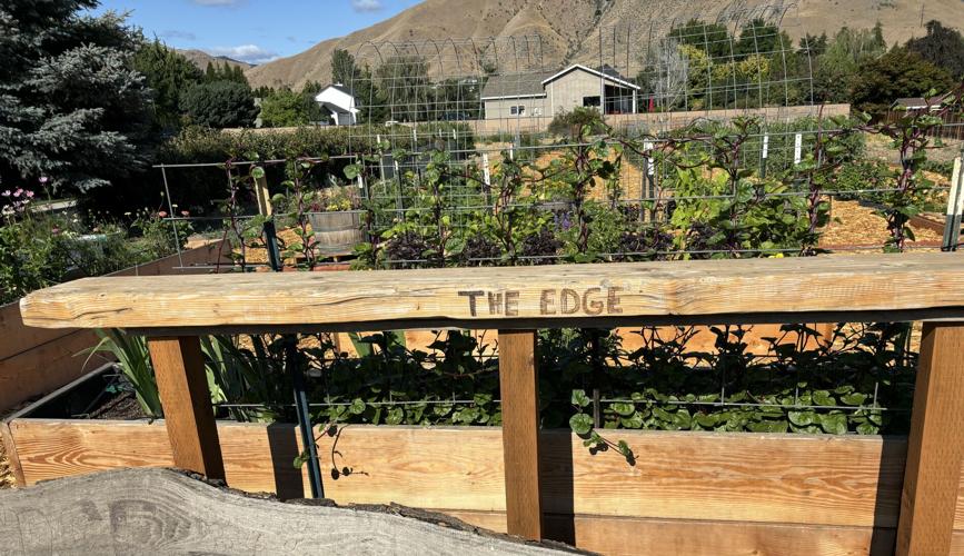 Make room for others: The Edge garden | Family & Faith | wenatcheeworld.com