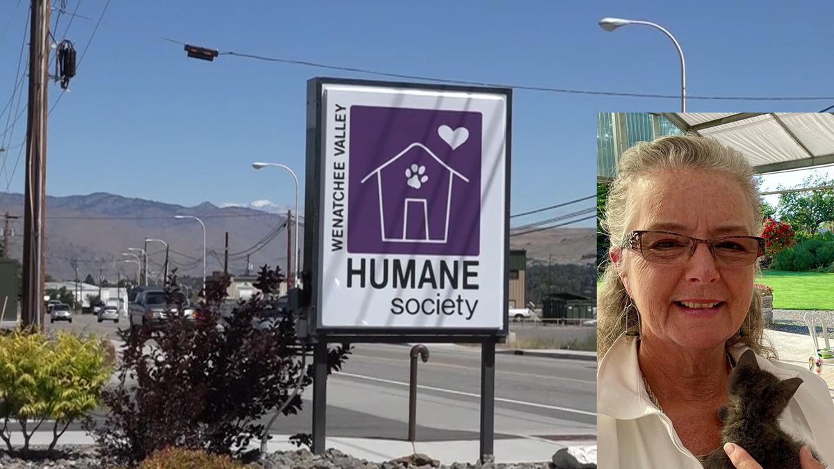 Wenatchee Valley Humane Society names new director | Local News | wenatcheeworld.com
