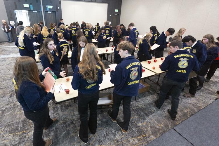 PHOTO GALLERY: State FFA Apple Judging | News | wenatcheeworld.com