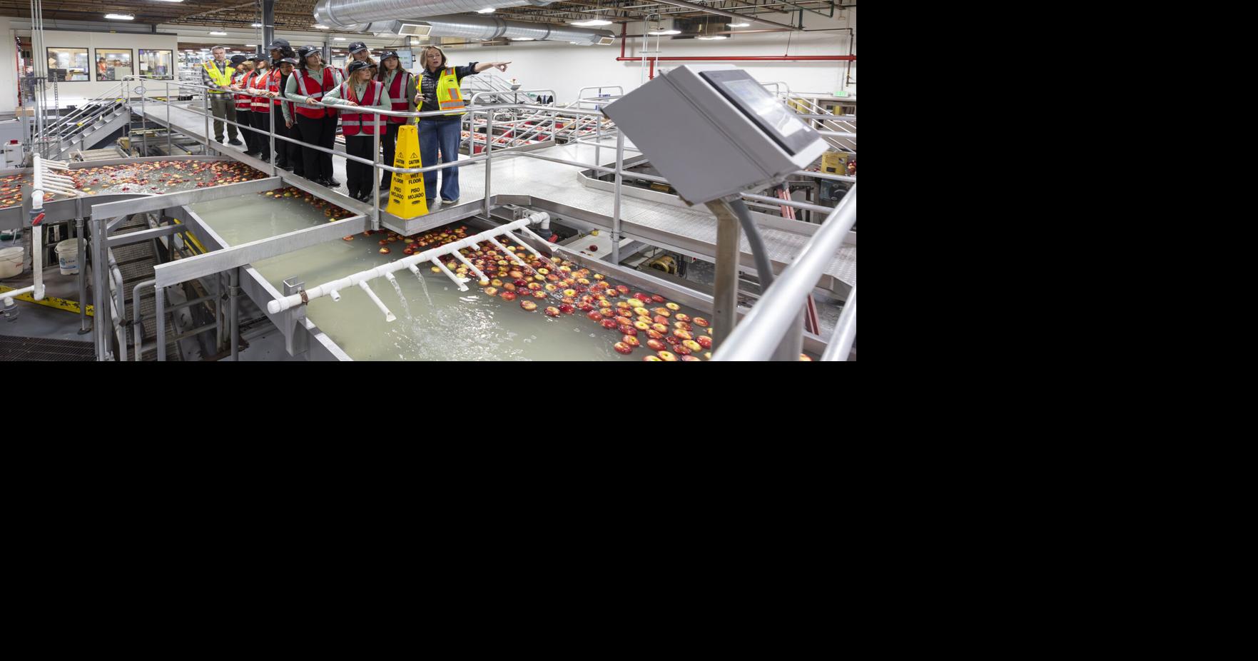 Keeping up with Apple Blossom Top 10: Touring Columbia Fruit Packers ...