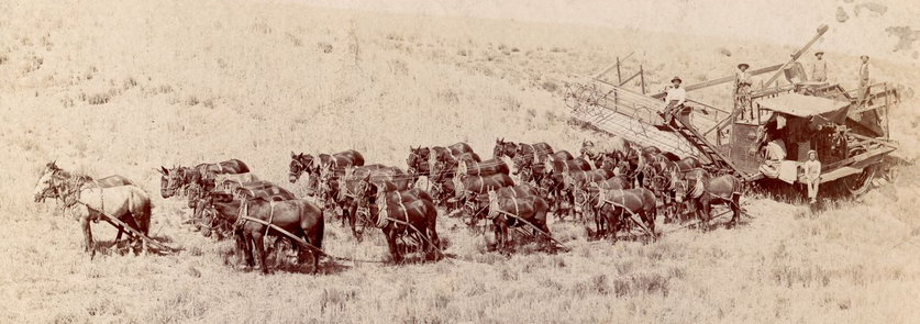 November 28, 1883 | Empire Press | wenatcheeworld.com